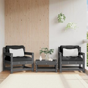 vidaXL Zahradní židle 2 ks černé masivní borové dřevo [825497] Barva: Šedá borovice