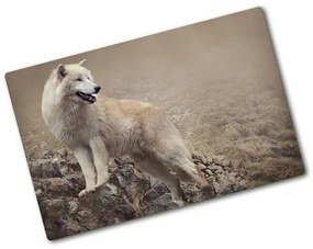 Wallmuralia Kuchyňská deska skleněná Bílý vlk na skále 80x52 cm