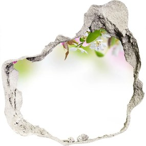Wallmuralia Samolepící díra nálepka Jarní květiny 75x75 cm