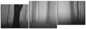 Obraz na plátně - Mlha v lese - panoráma 5182QE (150x50 cm)