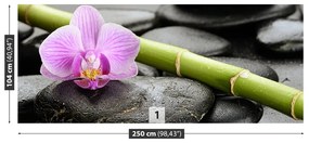 Fototapeta Orchidejové kameny 104x70