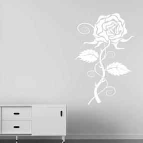 Živá Zeď Samolepka na zeď Rozkvétající růže Barva: černá