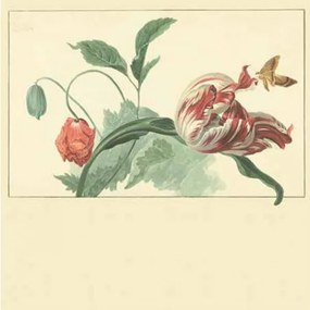 Květinová vliesová obrazová tapeta 358118, Masterpiece, Eijffinger
