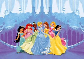 Dětská fototapeta na zed' Princezny Všechny Spolu, Disney | 360 x 254 cm | DFTD 0264