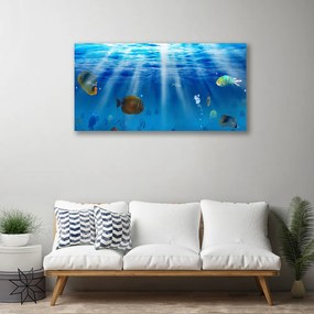 Obraz na plátně Ryba Příroda 100x50 cm