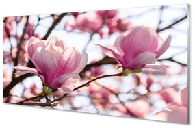 akrylový obraz magnolie strom 100x50 cm