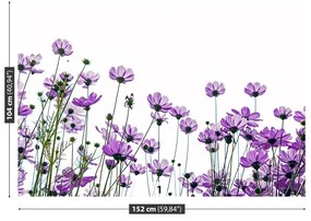 Fototapeta vesmír květiny 104x70