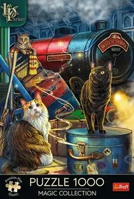 Trefl - Puzzle - Premium Plus Magic Collection: Witchwood Expres / 100