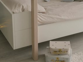 Dětská patrová postel BASIC se žebříkem vpravo 90x200 cm Zvolte barvu: Kašmírová