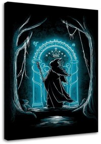 Gario Obraz na plátně Pán prstenů, čaroděj v lese - DDJVigo Rozměry: 40 x 60 cm