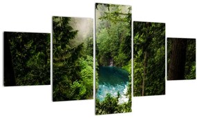 Obraz - Průzor mezi stromy (125x70 cm)