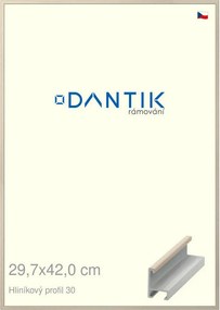 DANTIK rámeček 29,7x42 | ALU profil 6030 Dýha slovnová kost (Plexi Čiré)