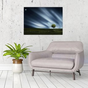 Skleněný obraz polární záře nad vřesovištěm (70x50 cm)