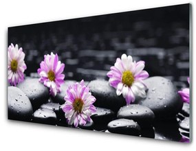 akrylový obraz Květ Kameny Rostlina 140x70 cm