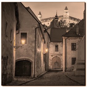 Obraz na plátně - Bratislava staré město s hradem vzadu- čtverec 3265FA (50x50 cm)