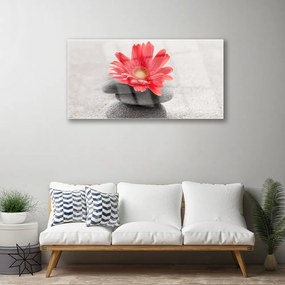 Obraz na skle Květ Kameny Umění 120x60 cm