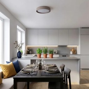 BRILAGI - LED Stmívatelné stropní svítidlo LUCIA LED/48W/230V pr. 41 cm taupe+DO