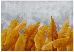 Fototapeta - Banana Leaves