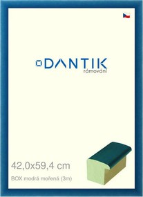 DANTIK rámeček 42x59,4 | BOX modrá mořená (Plexi Čiré)