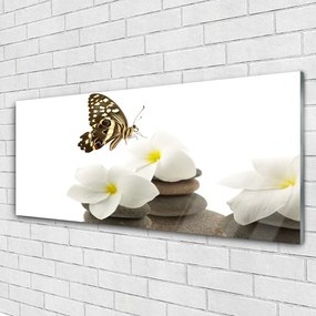 akrylový obraz Motýl Květ Kameny Rostlina 125x50 cm