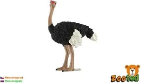 ZOOTED Figurka Pštros dvouprstý / Plast / 11 cm / od 3 let