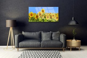 Obraz na skle Slunečnice Květ Rostlina 120x60 cm