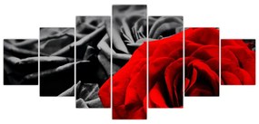 Obraz - Květy růží (210x100 cm)