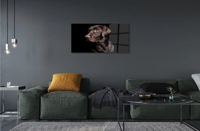 Obraz na skle hnědý pes 125x50 cm