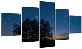 Obraz stromů v noci (125x70 cm)
