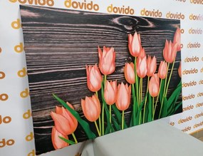 Obraz očarující oranžové tulipány na dřevěném podklade