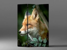 Liox Paraván bystrá liška Rozměr: 135 x 180 cm