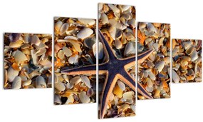 Obraz mořské hvězdice (125x70 cm)