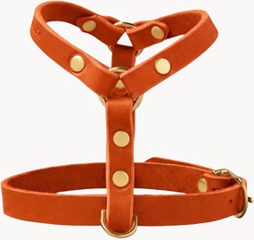 Kožený postroj pro psa Y-Harness, v různých velikostech