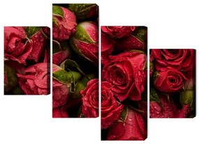 Vícedílný obraz Růže S Kapkami Vody Nedostatek Nedostatek Přírodní plátno 120x75