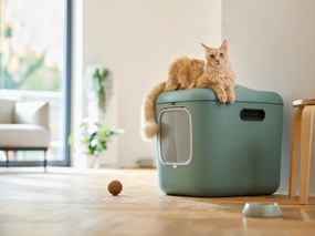 Rotho Kočičí toaleta, krytý záchod pro kočky CAT XXL - zelená
