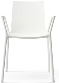 Wiesner-Hager macao 6837-200 - Židle MACAO  - Bílá