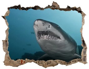 Wallmuralia Díra 3D fototapeta nálepka Velký žralok 95x64 cm