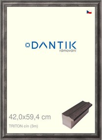 DANTIK rámeček 42x59,4 | TRITON cín (Plexi Čiré)