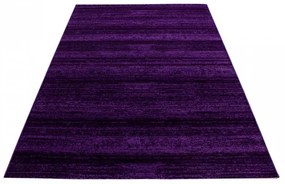 Ayyildiz koberce AKCE: 120x170 cm Kusový koberec Plus 8000 lila - 120x170 cm