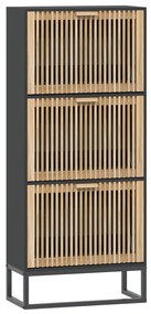 vidaXL Botník černý 52 x 25 x 120 cm kompozitní dřevo