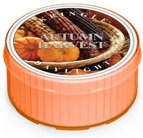 Kringle Candle Vonná Svíčka Autumn Harvest, 35 g