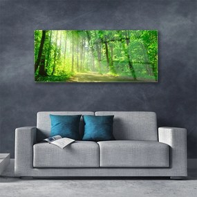 akrylový obraz Les Cestička Stromy Příroda 125x50 cm