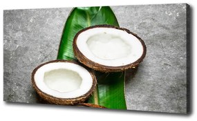 Wallmuralia Foto obraz na plátně Půlky kokosů 100x50