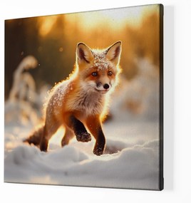 Obraz na plátně - Malá lištička běží zimní krajinou FeelHappy.cz Velikost obrazu: 60 x 60 cm