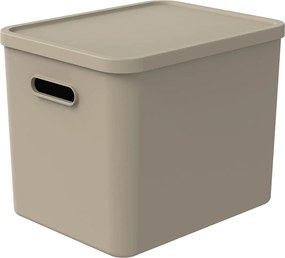 Rotho Úložný box, rovný s víkem, 27l, béžová ALBU LIGHT, 37x29x30