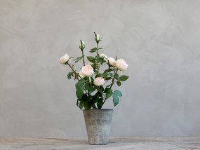 Dekorace umělá růžová růže v květináči Old - 44 cm
