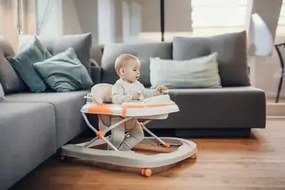 FreeON Chodítko interaktivní Fancy / od 6 měsíců / do 11 kg