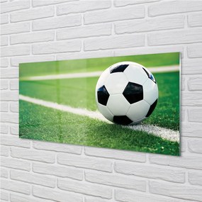akrylový obraz fotbalový trávník 100x50 cm