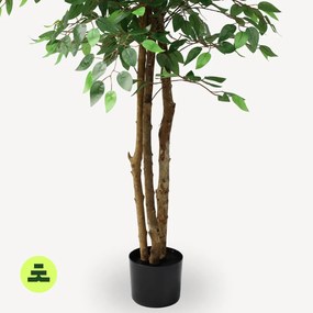 Umělý Ficus Zelený 180 cm