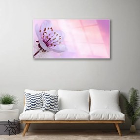 akrylový obraz Květ Rostlina Příroda 100x50 cm